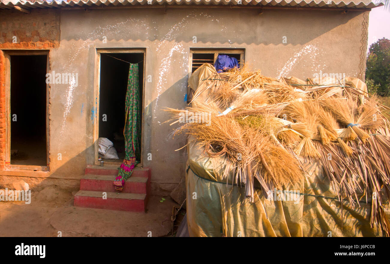 poor Indian house and yard. Door don't need luxury. Dried straw from ...