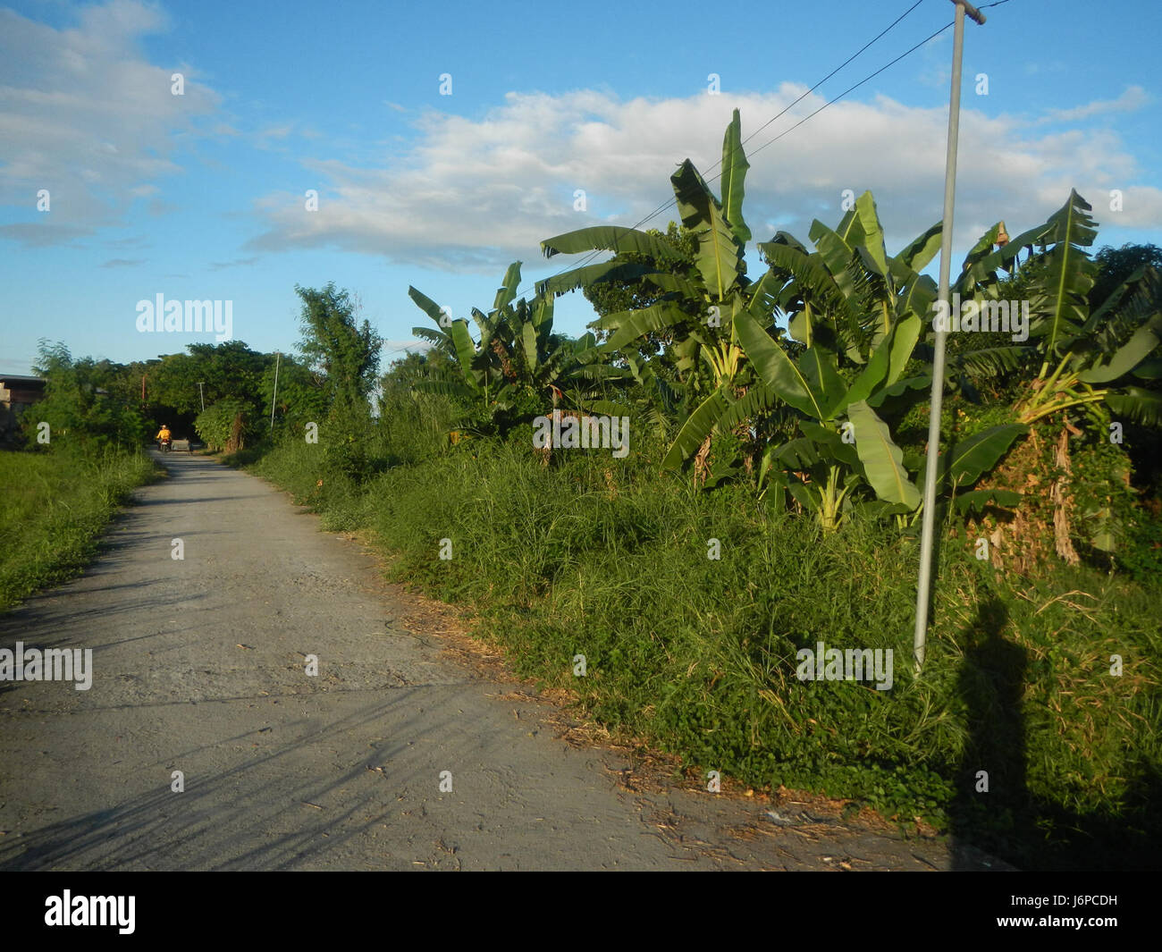 Paddy fields and villages in Pulong Palazan, Candaba, Pampanga are ...