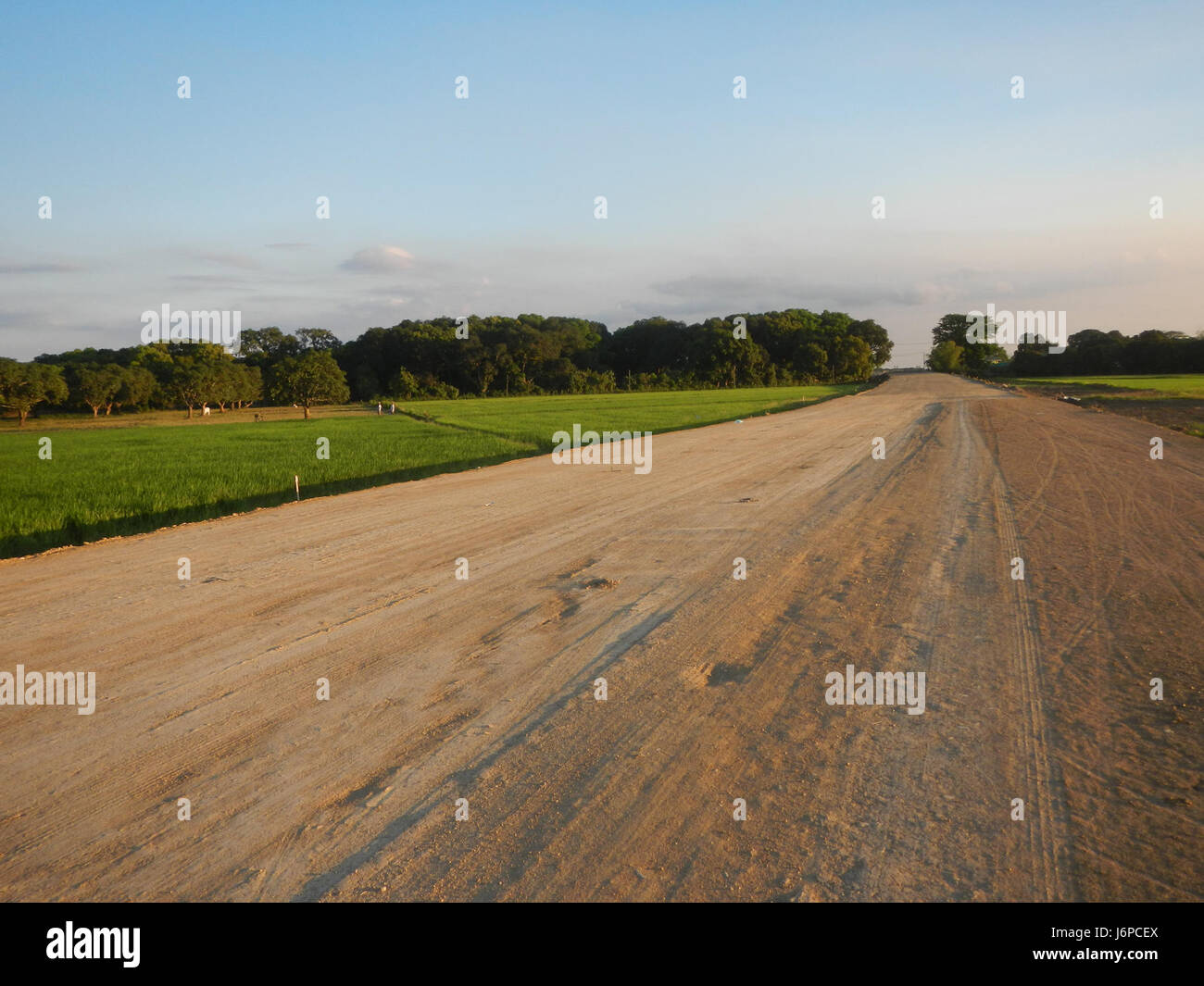 The image shows the expansive paddy fields along the Plaridel Bypass ...