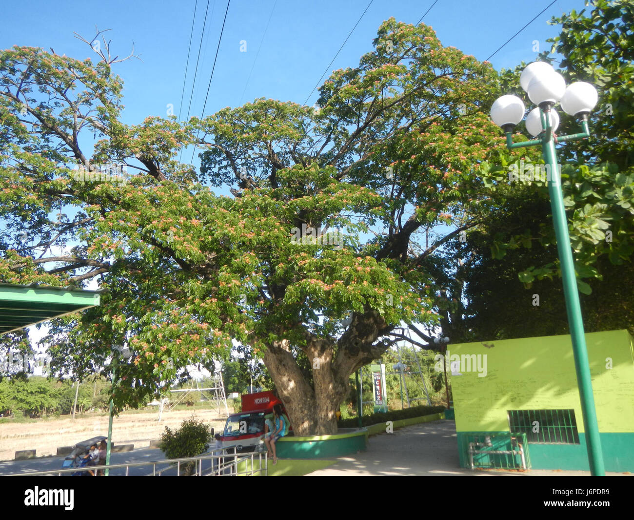 Taruc hi-res stock photography and images - Alamy