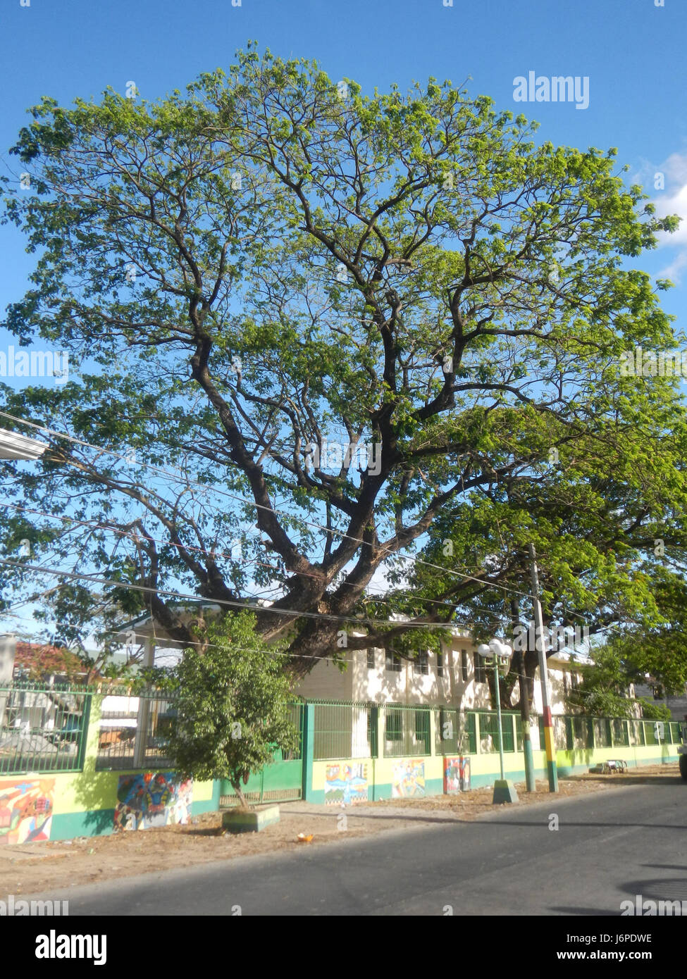 Taruc hi-res stock photography and images - Alamy