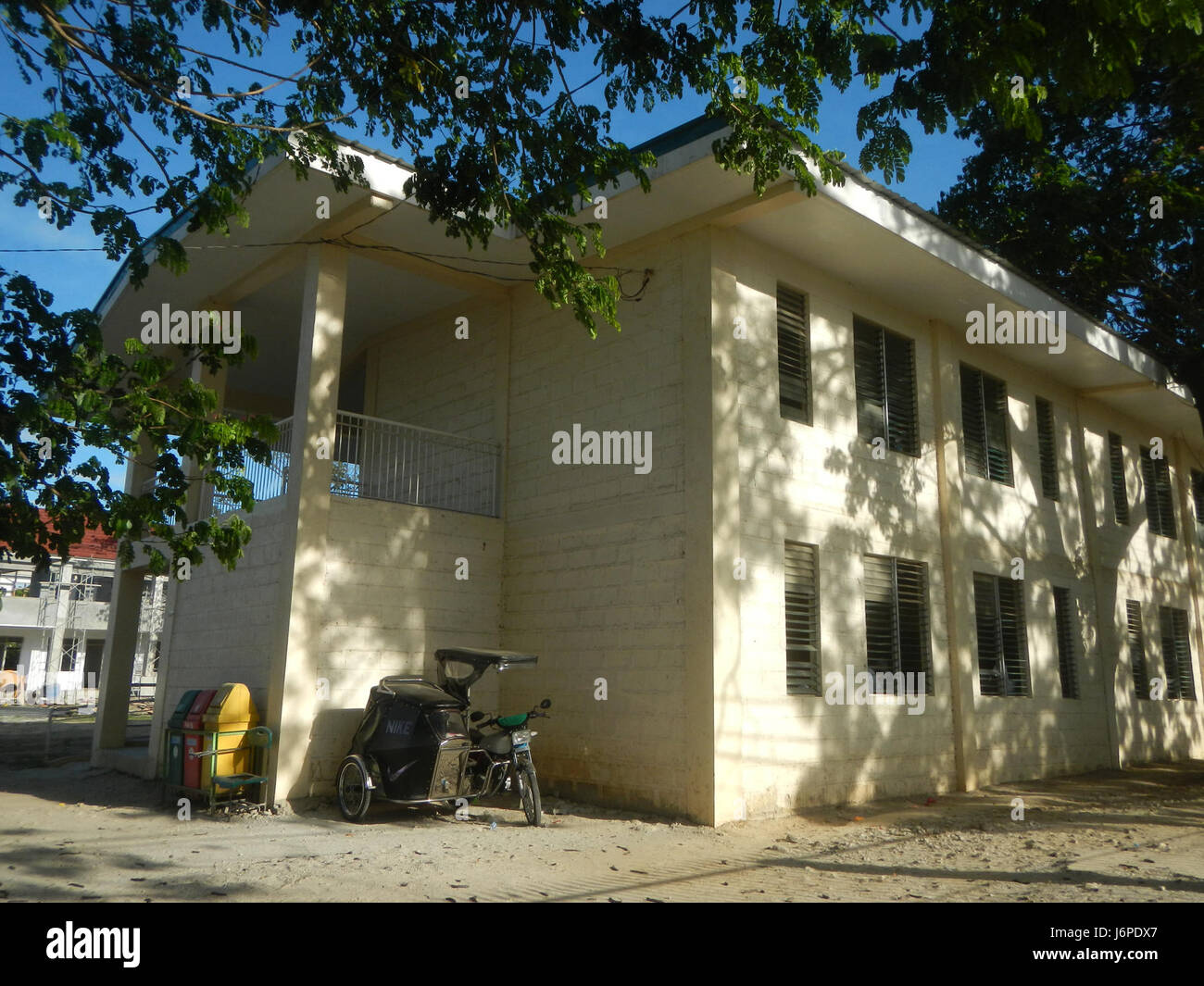 The Municipal Hall and Old Acacia tree in San Luis, Pampanga, are key ...