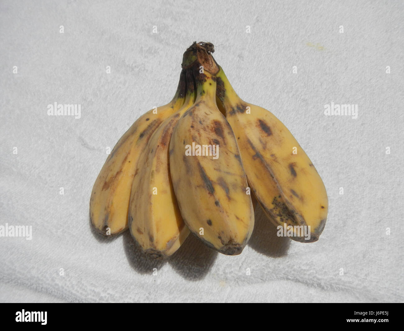 A depiction of various fruits, including mangoes, mongo soup, and ...