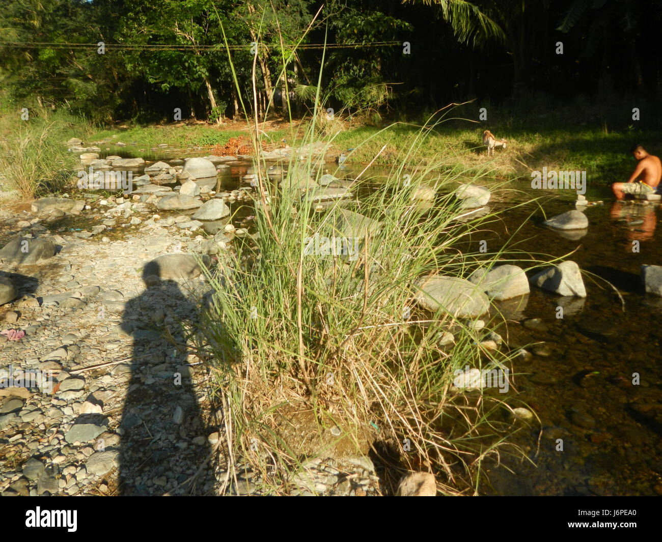An image capturing the Akle River flowing beneath Akle Bridge in San ...