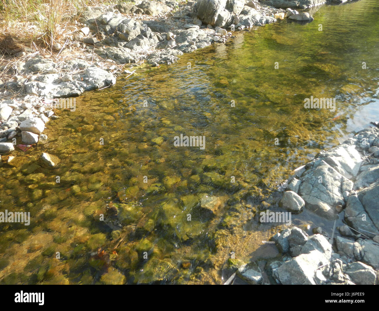 0730 Akle Bridge River Resorts San Ildefonso, Bulacan 07 Stock Photo ...