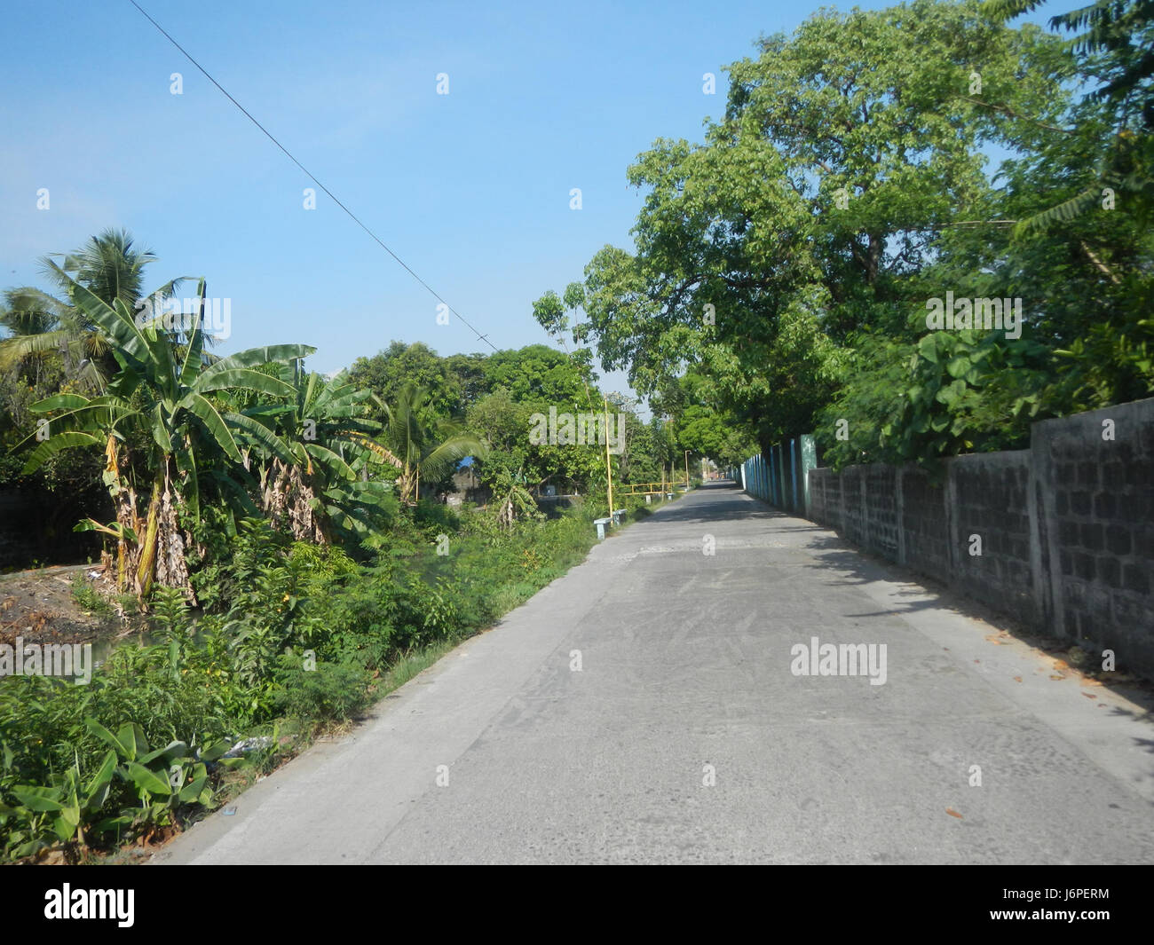 This image showcases a rural landscape in Plaridel, Bulacan, focusing ...