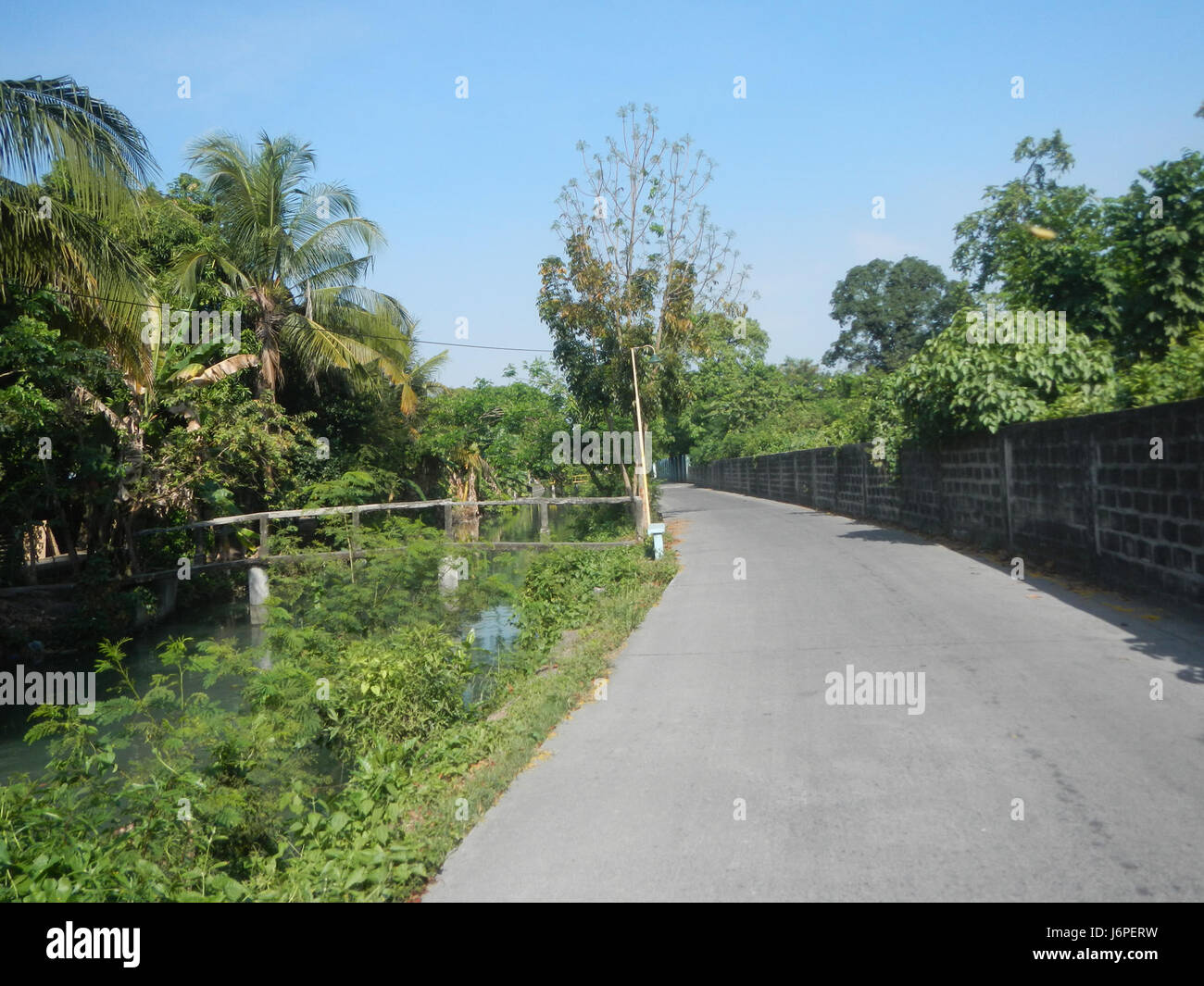 A photograph of the irrigation farm located at Banga Santa Ines, Agnaya ...
