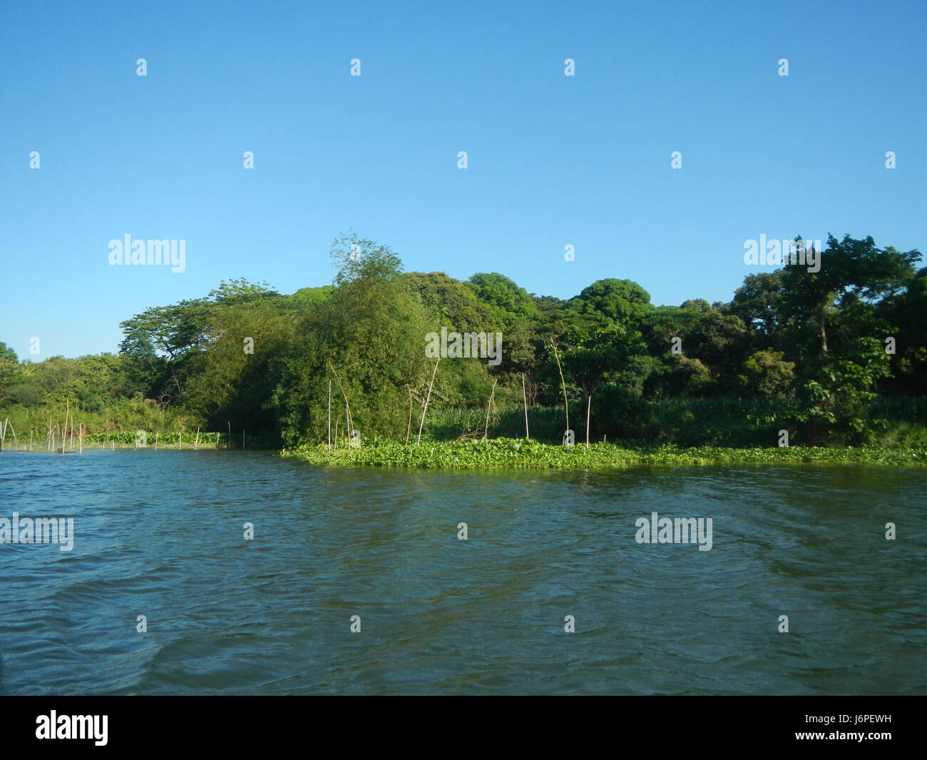 This image represents the rural landscape of Calumpit, Bulacan ...