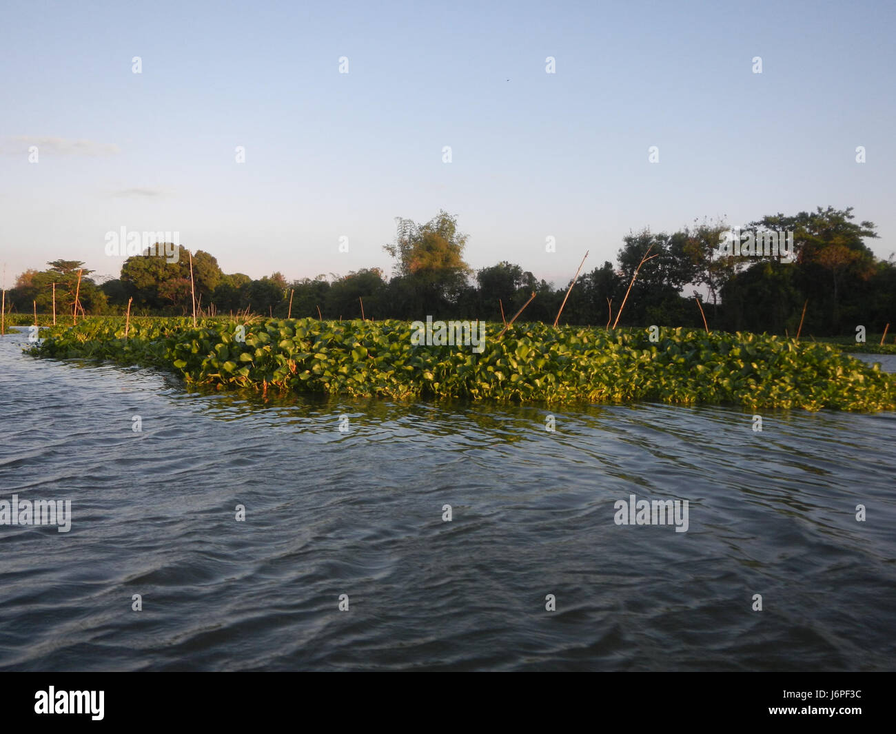 05786 Calumpit Bulacan Riverside Districts Palimbang Sergio Bayan ...