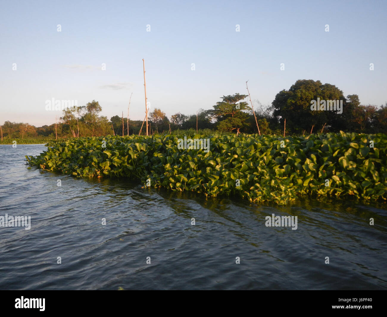 05786 Calumpit Bulacan Riverside Districts Palimbang Sergio Bayan ...