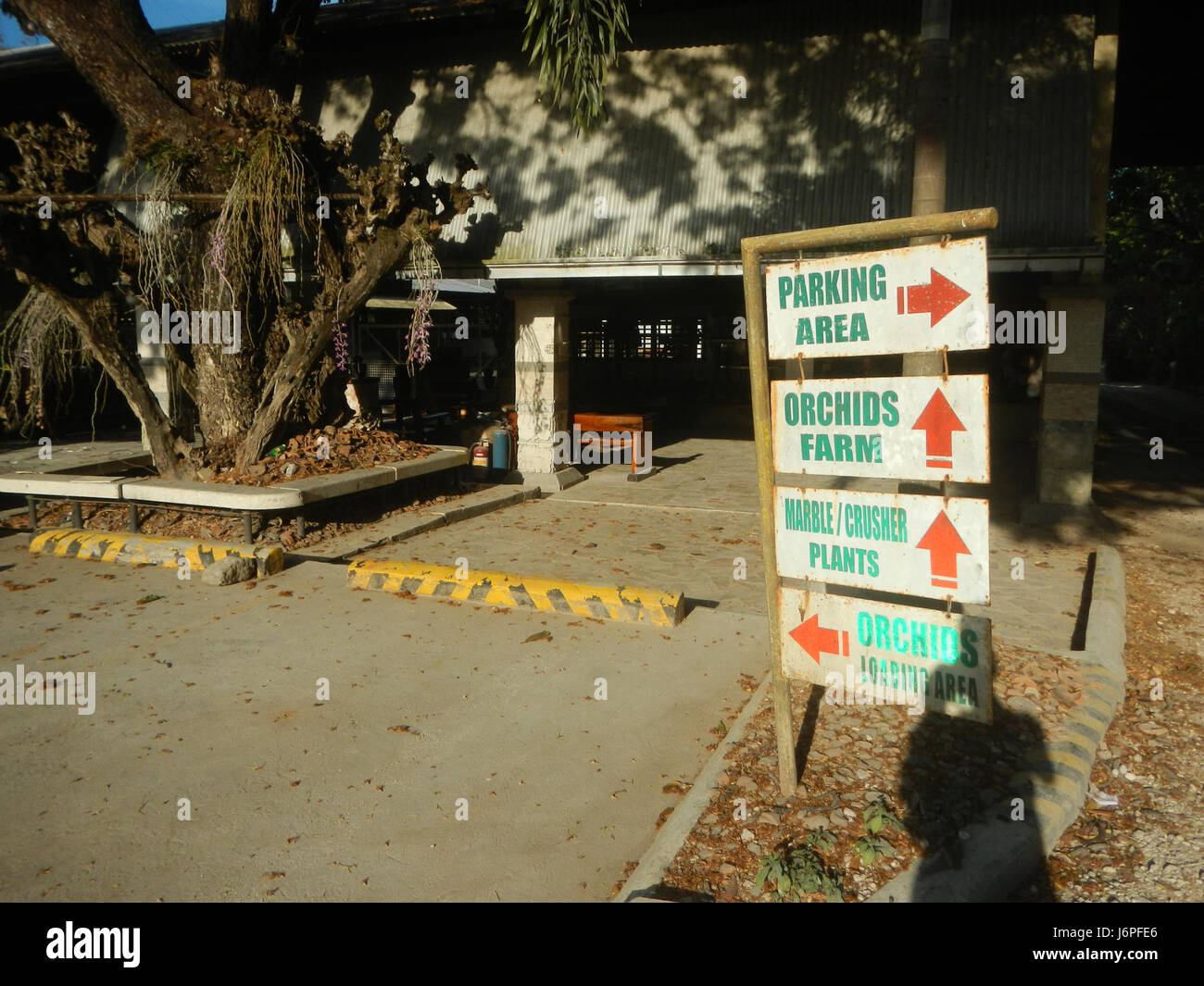 07141 Maharlika Highway Orchids Handicrafts San Rafael Bulacan 32 Stock ...