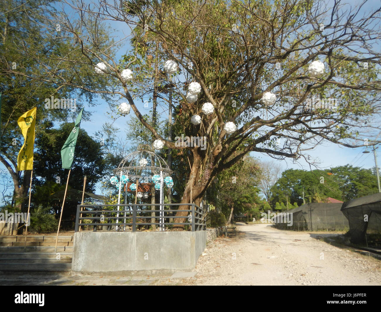 07141 Maharlika Highway Orchids Handicrafts San Rafael Bulacan 46 Stock ...