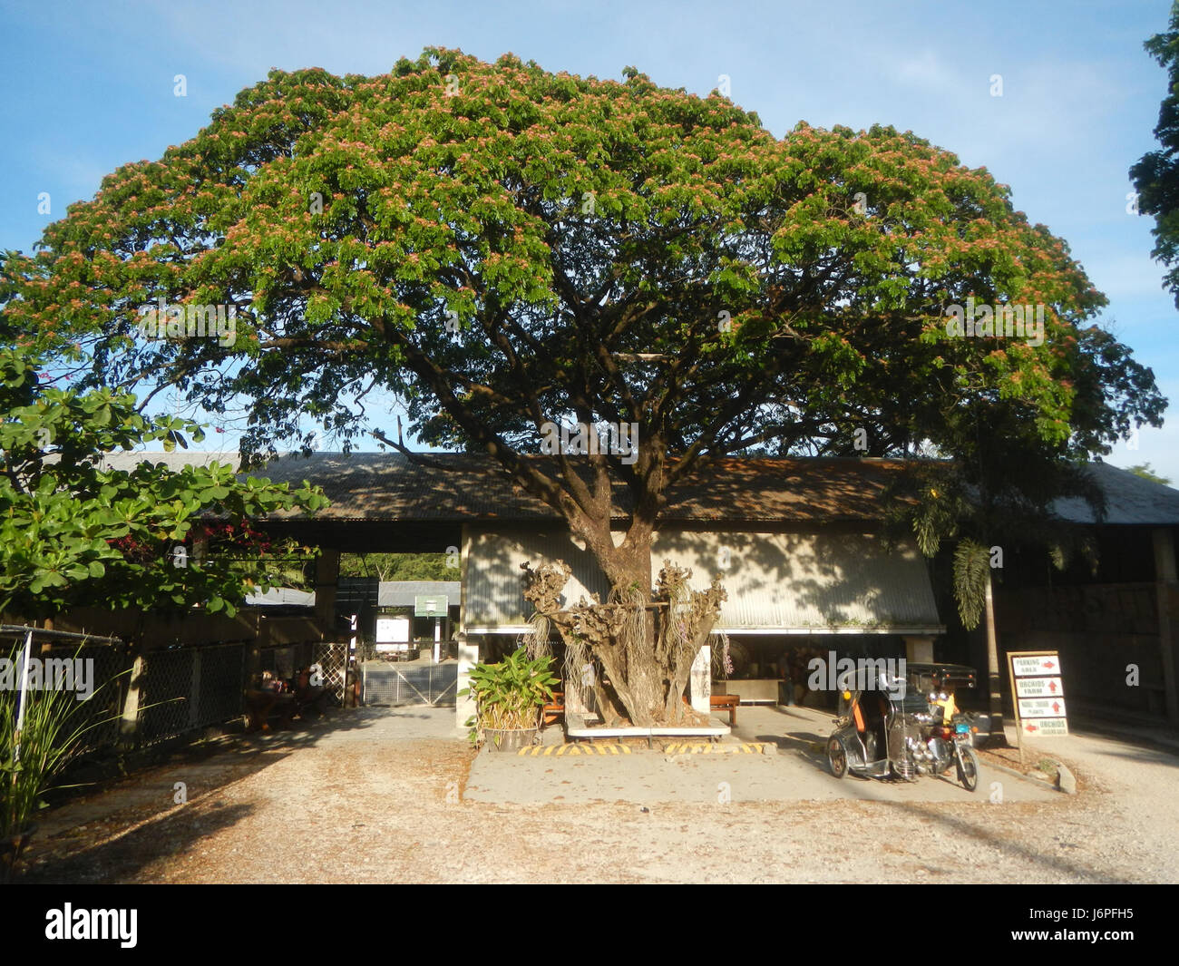 This image depicts the Maharlika Highway in San Rafael, Bulacan ...