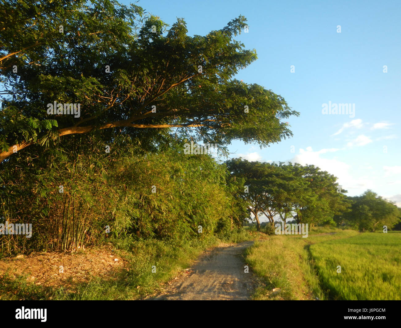 This image shows the rural landscape of the Pulong Palazan village in ...