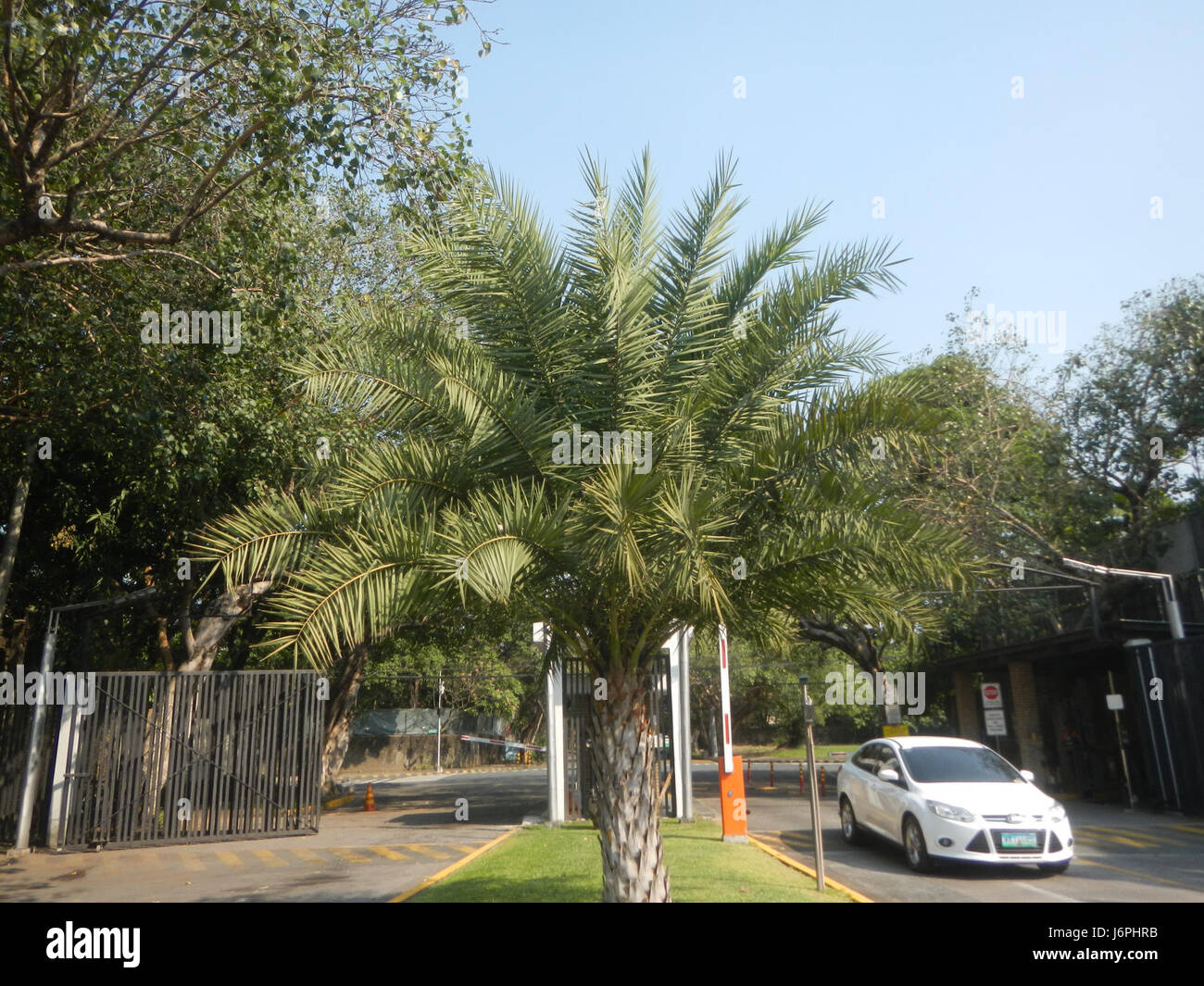 Forbes Park, located in Makati's Central Business District, is a ...