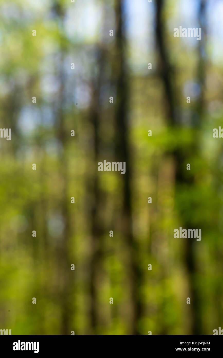 blue and green spring nature blurred background Stock Photo - Alamy