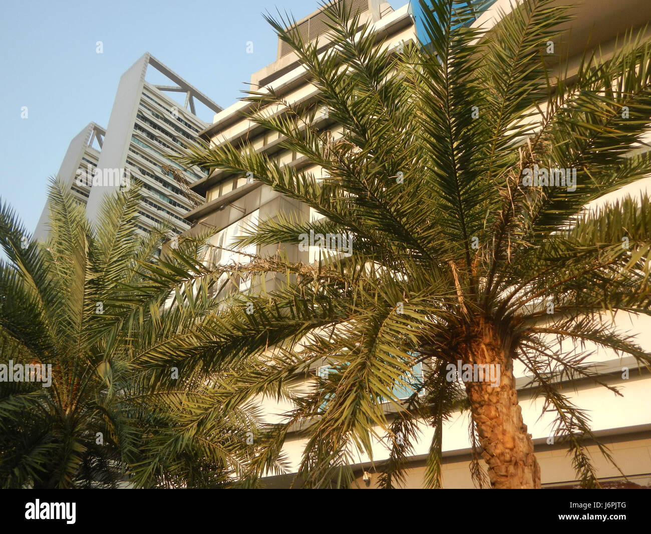 Salamanca, located at Neptune Street, Kalayaan Avenue, is a hotel area ...