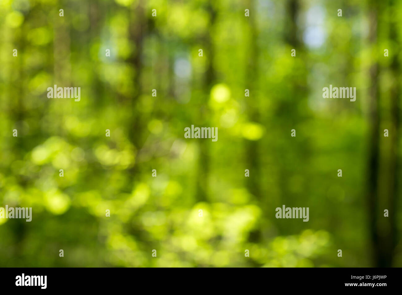 blue and green spring nature blurred background Stock Photo - Alamy