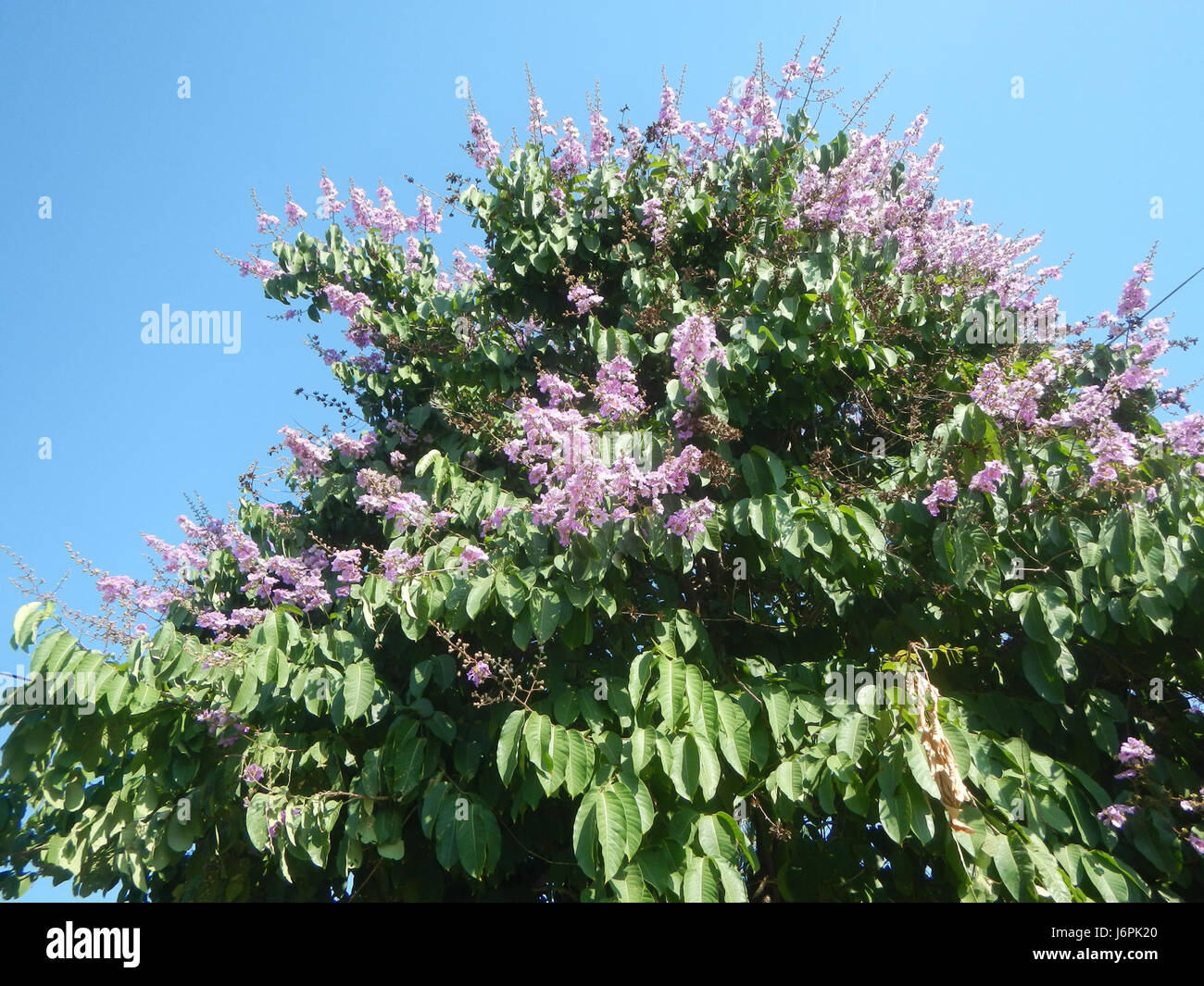 This reference details municipal roads in San Rafael, Bulacan ...