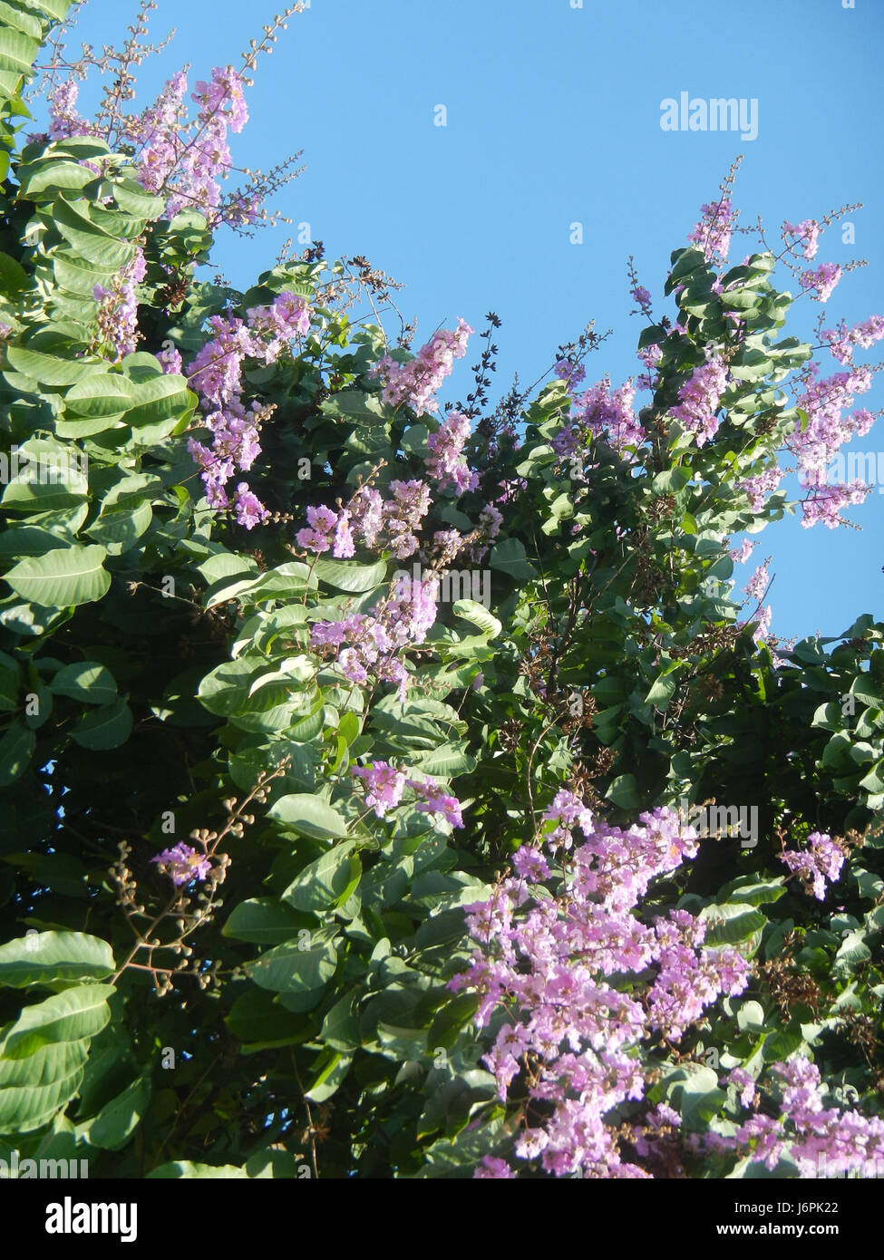 This image showcases the San Rafael municipal roads and barangays in ...