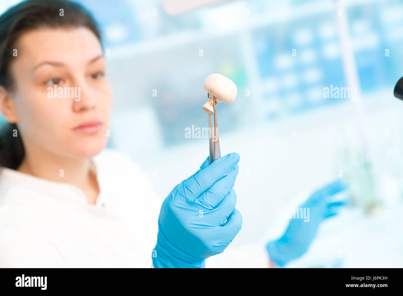 Food test in laboratory, Researcher with GMO plants. Genetically ...