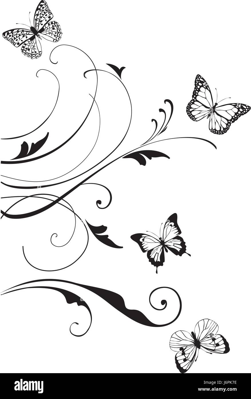 Swirls And Butterflies