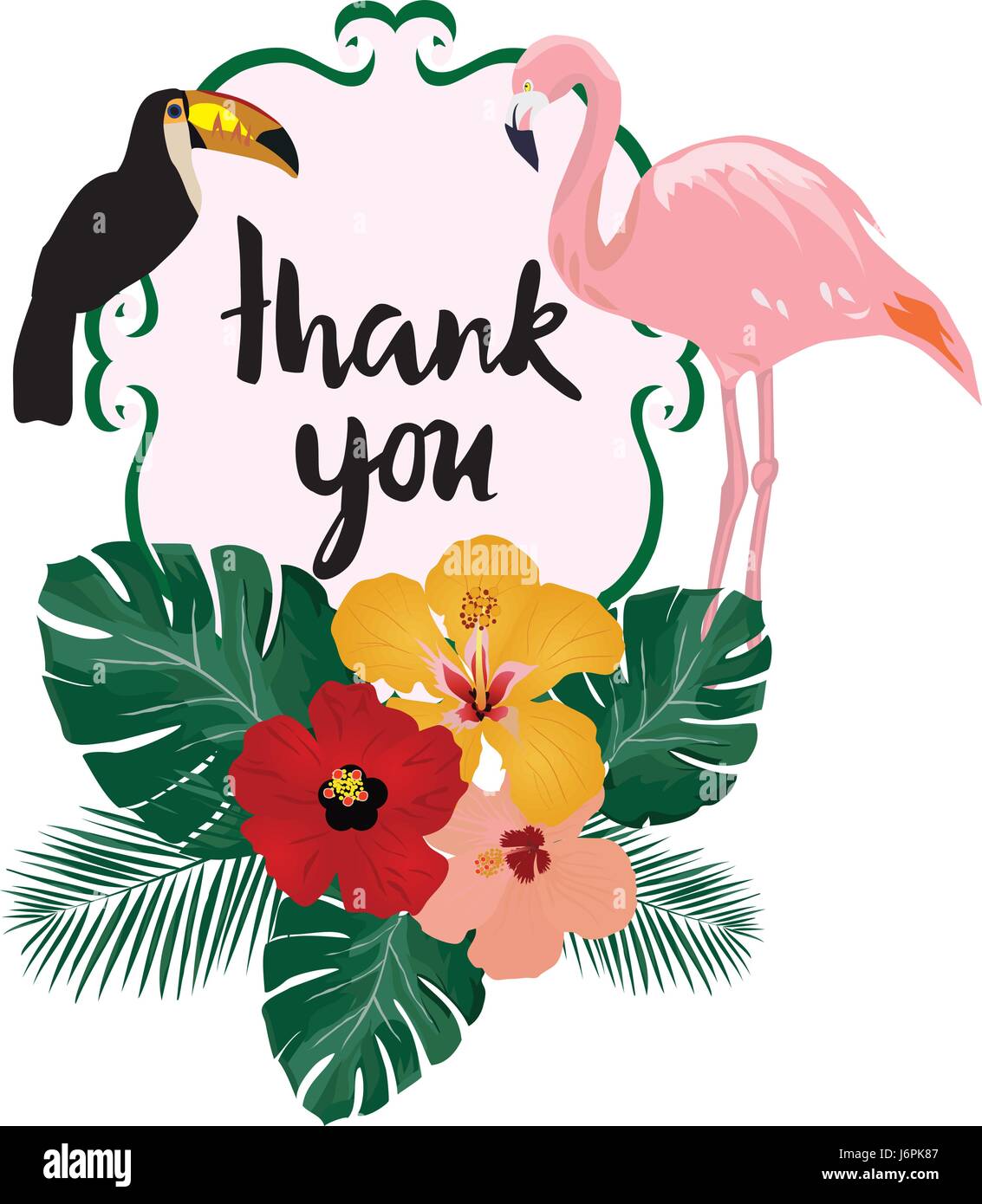 vector illustration of thank you card note with birds flamingo, toucan ...
