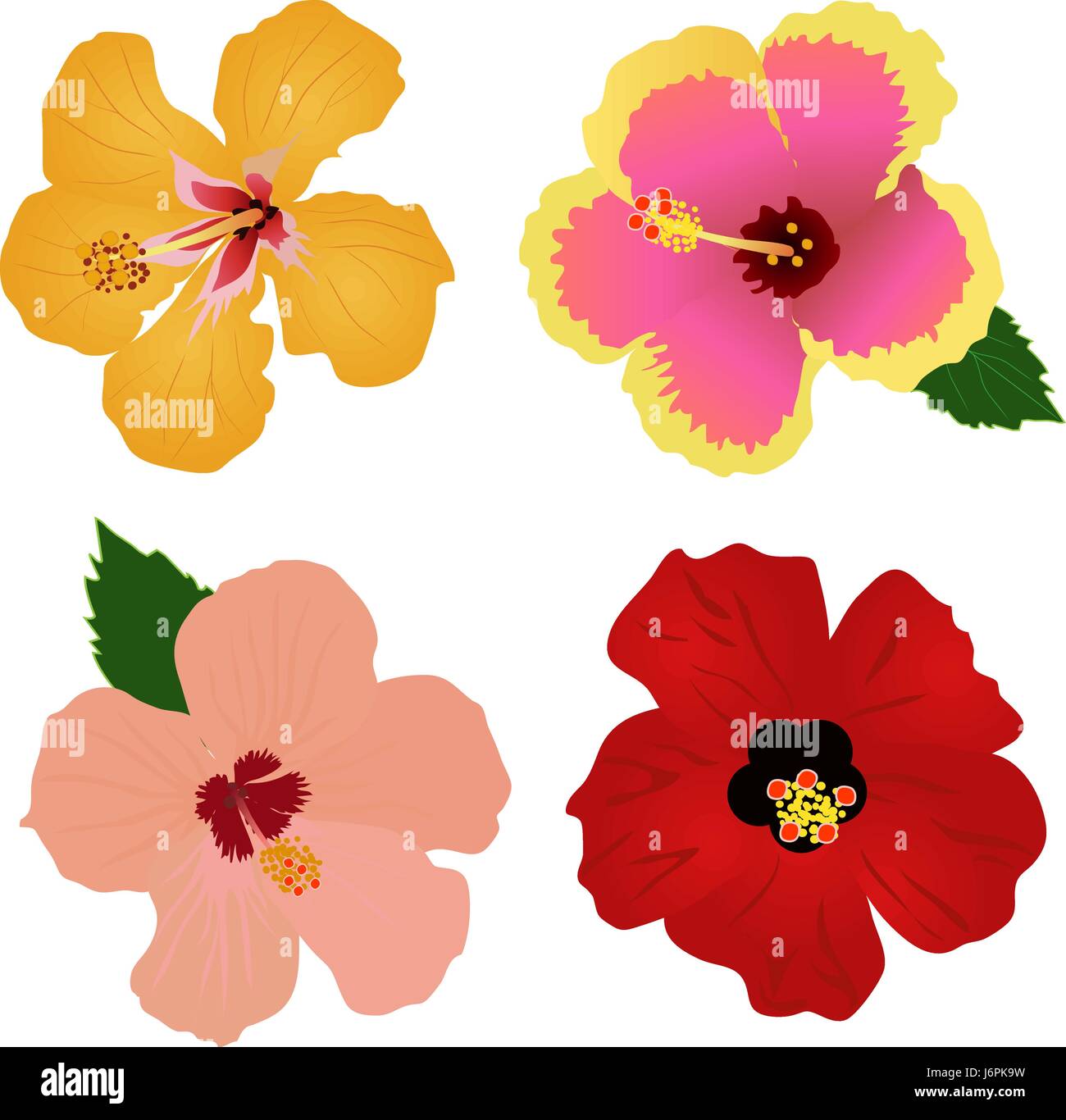 Hawaiian Flowers Cut Out