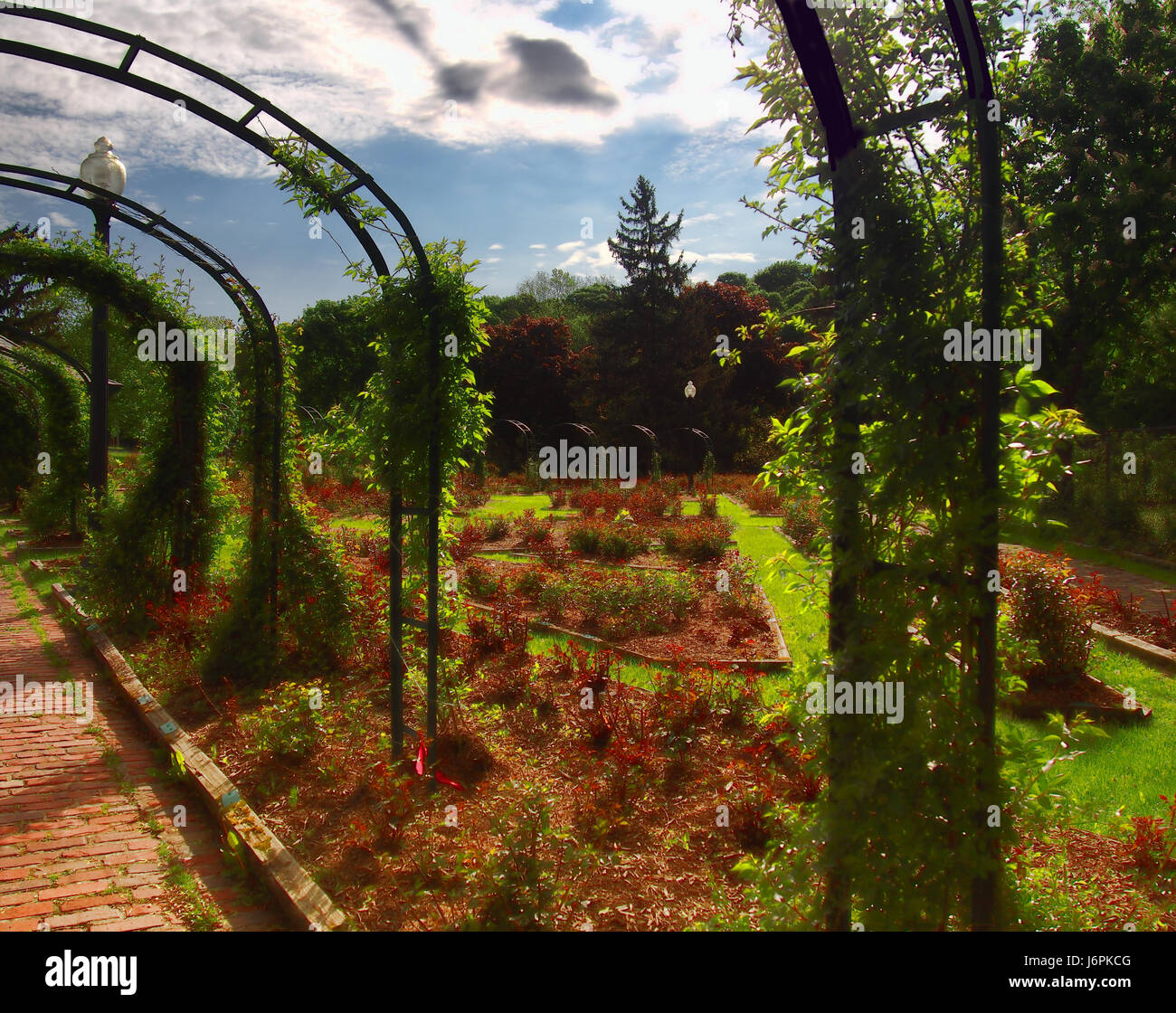 looking out from under trellises Stock Photo - Alamy