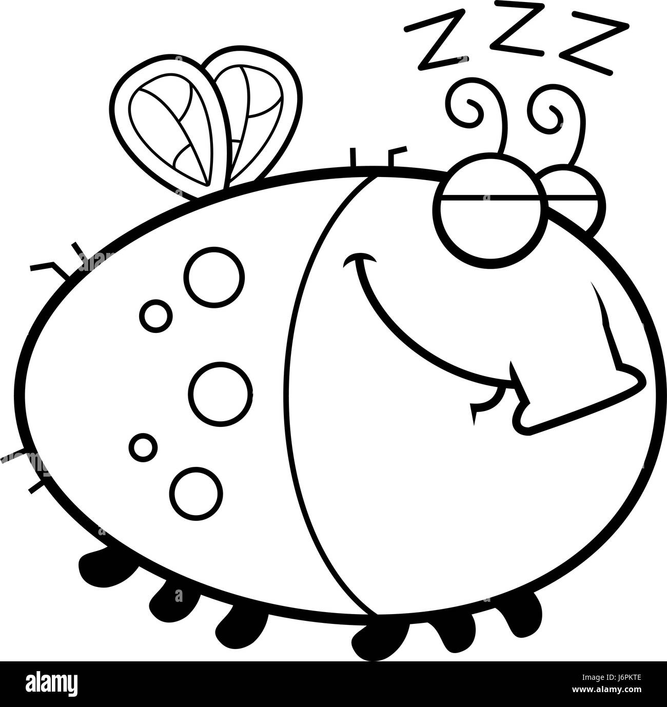 A cartoon illustration of a fly sleeping Stock Vector Image & Art - Alamy