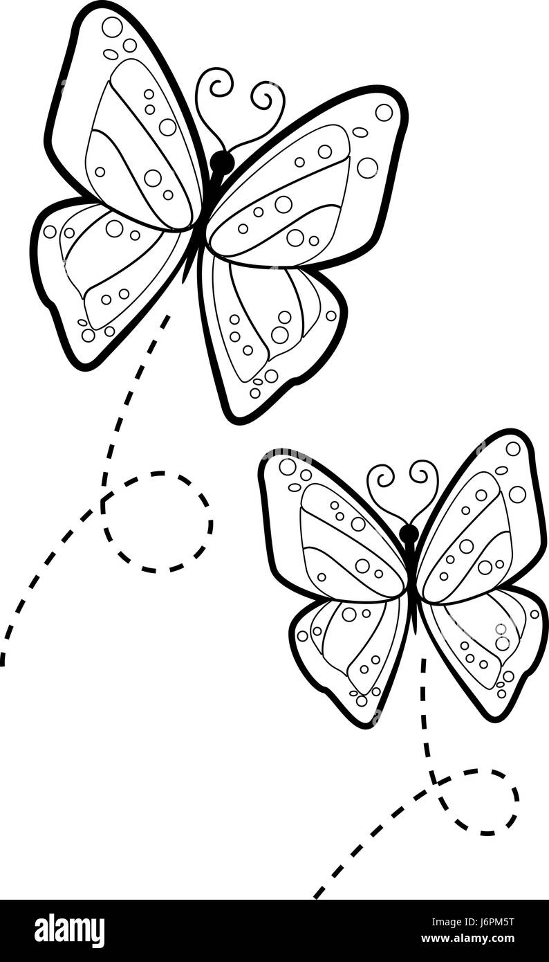 Butterflies Flying Together Drawing