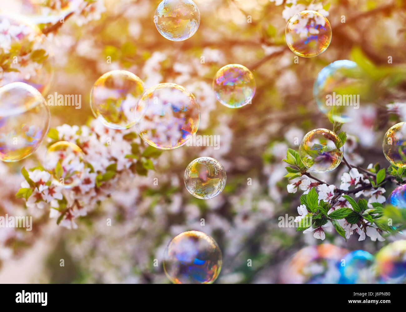 bright festive background with flying shiny soap bubbles over the ...