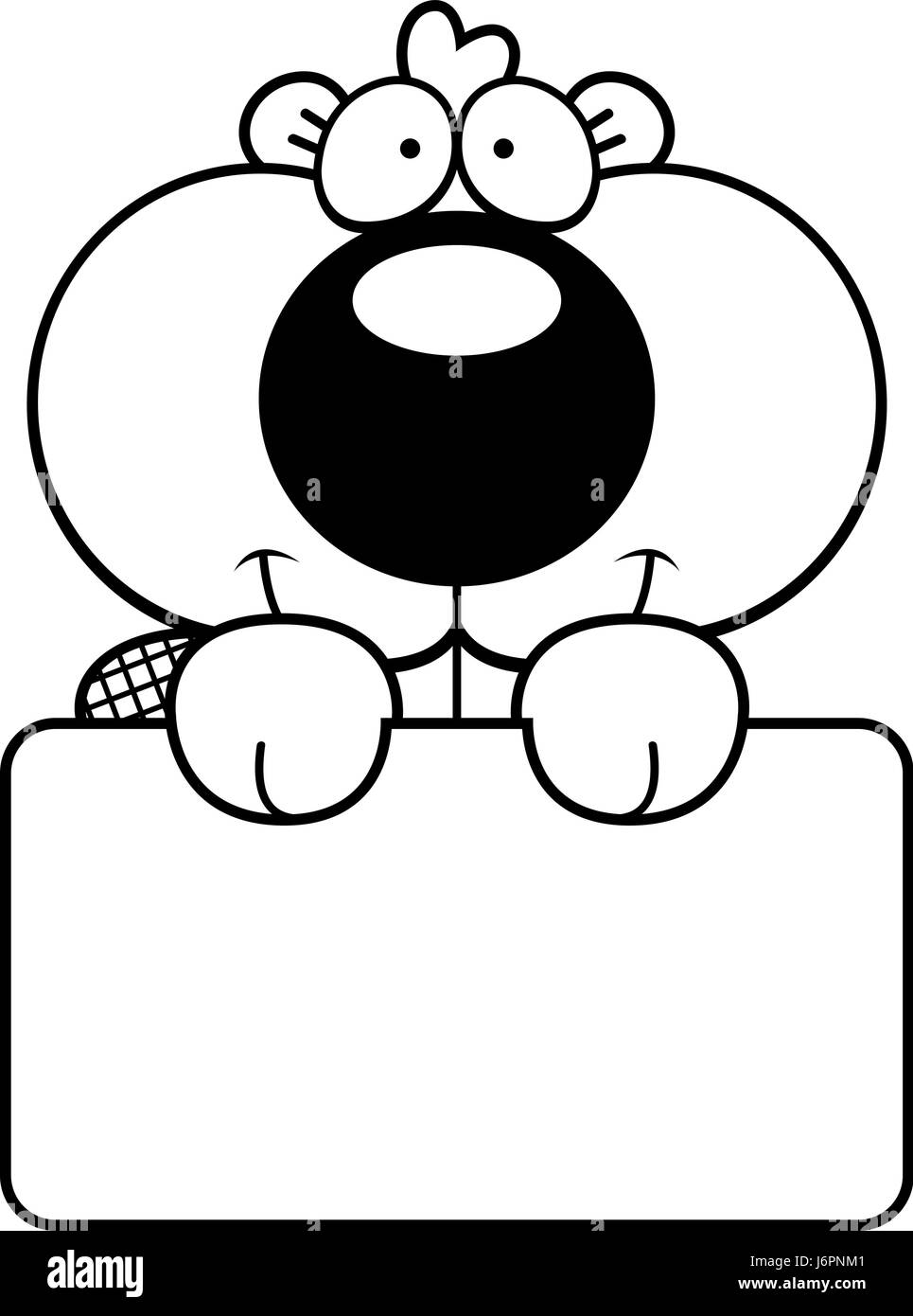 White kits Black and White Stock Photos & Images - Alamy