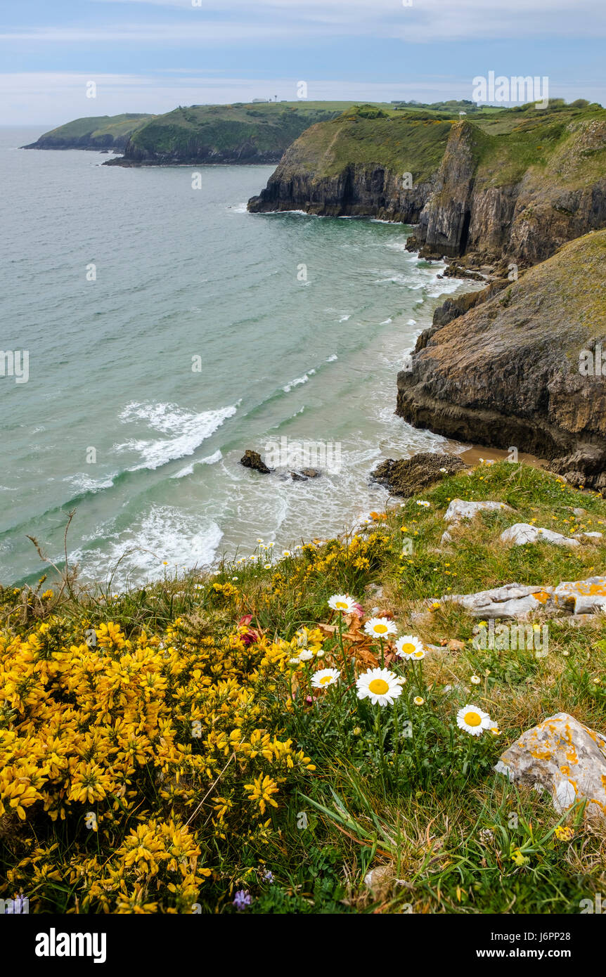 COAST NR LYDSTEP POINT Stock Photo - Alamy