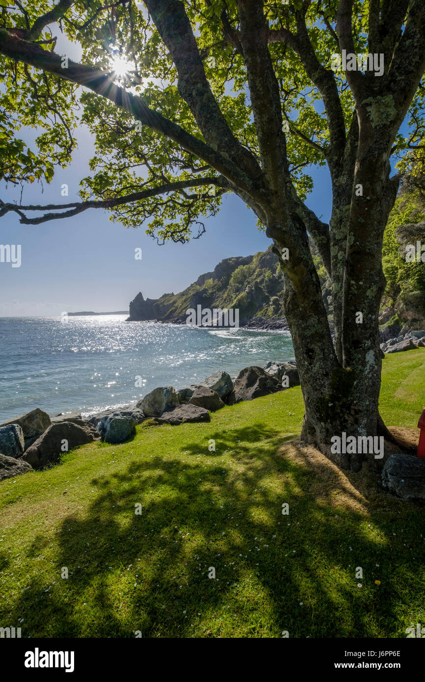 LYDSTEP HAVEN PEMBROKESHIRE WALES UK Stock Photo - Alamy