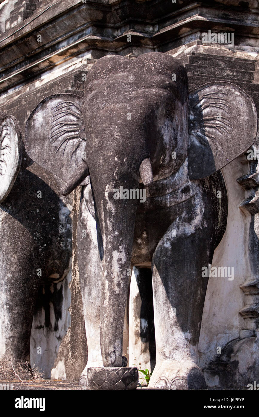 big large enormous extreme powerful imposing immense relevant elephant ...