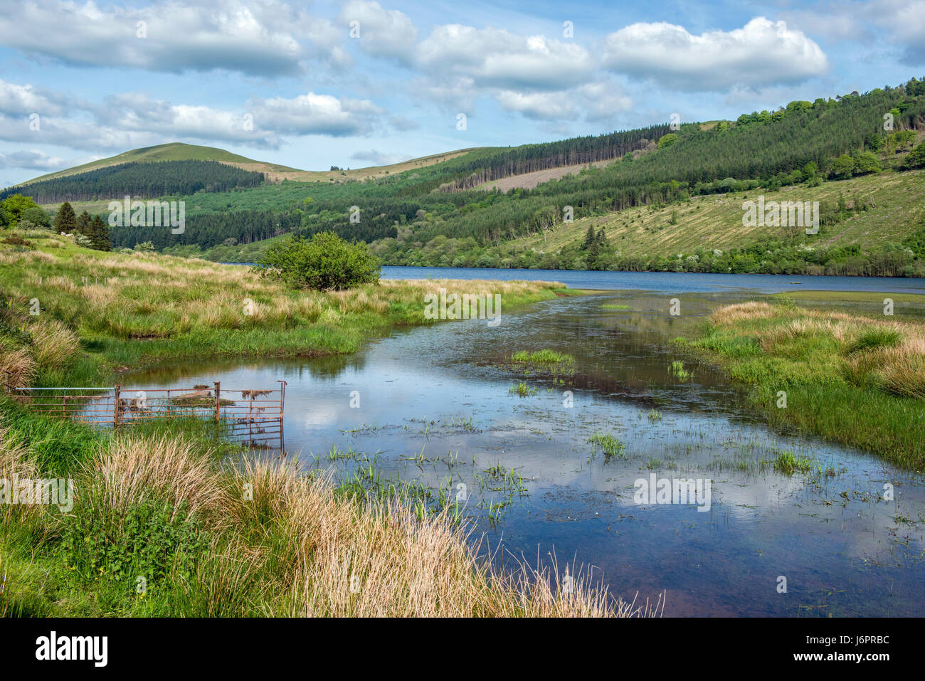 Forest and hills in the Brecon Beacons National Park Wales Stock Photo ...