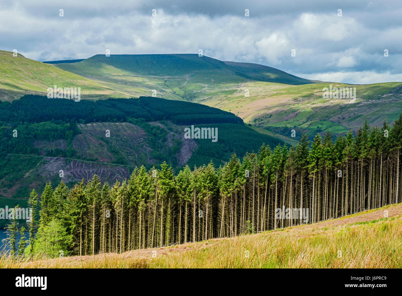 Forest and hills in the Brecon Beacons National Park Wales Stock Photo ...