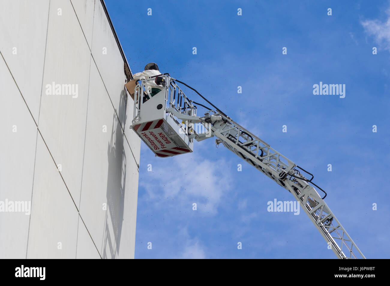 Beekeeper on an aerial platform capturing a bee swarm on a wall. Many ...