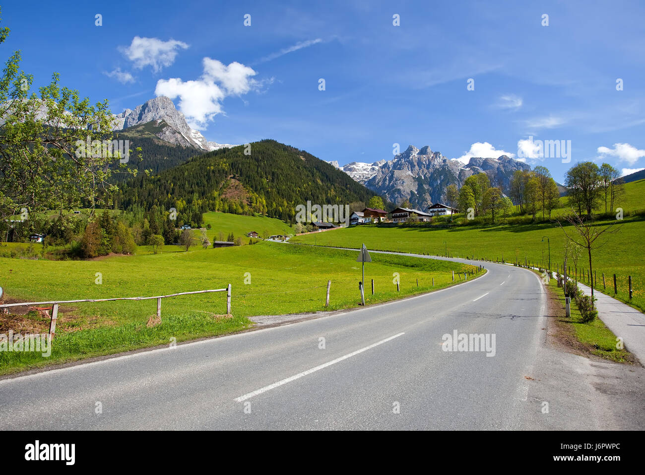 mountains holiday vacation holidays vacations alps austrians dandelion ...