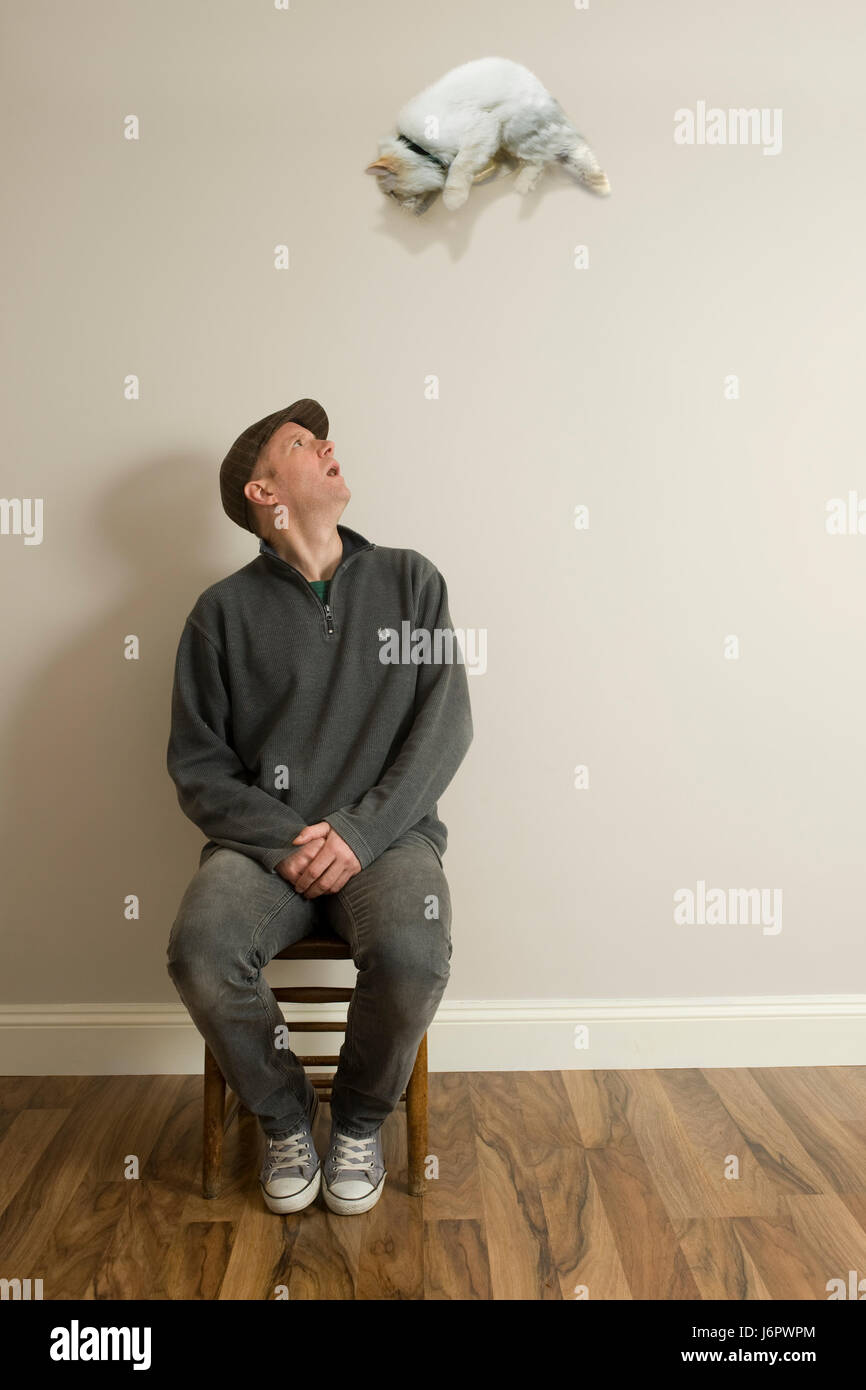 Flying cat jumping hi-res stock photography and images - Alamy