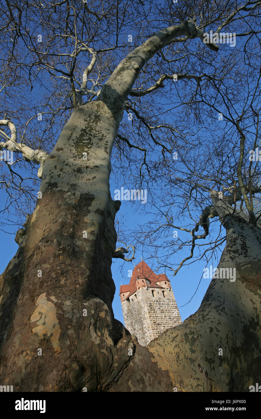 tower tree park tower tree trees upstairs park look glancing see view ...