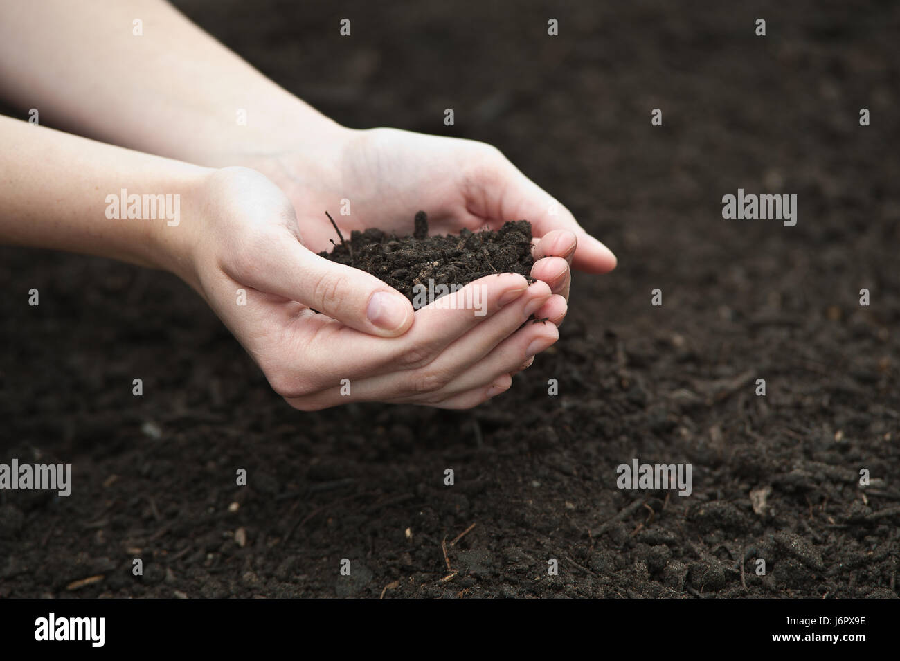 hand hands finger compost globe planet earth world decay topsoil heap ...
