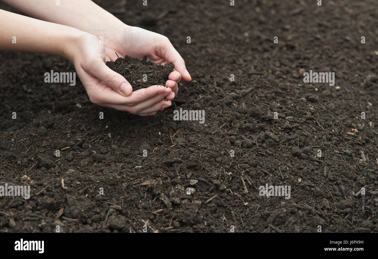 hand hands finger compost globe planet earth world decay topsoil heap ...