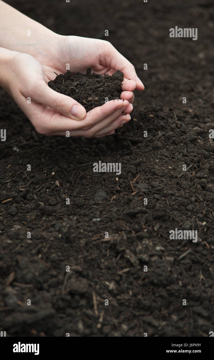 hand hands finger compost globe planet earth world decay topsoil heap ...