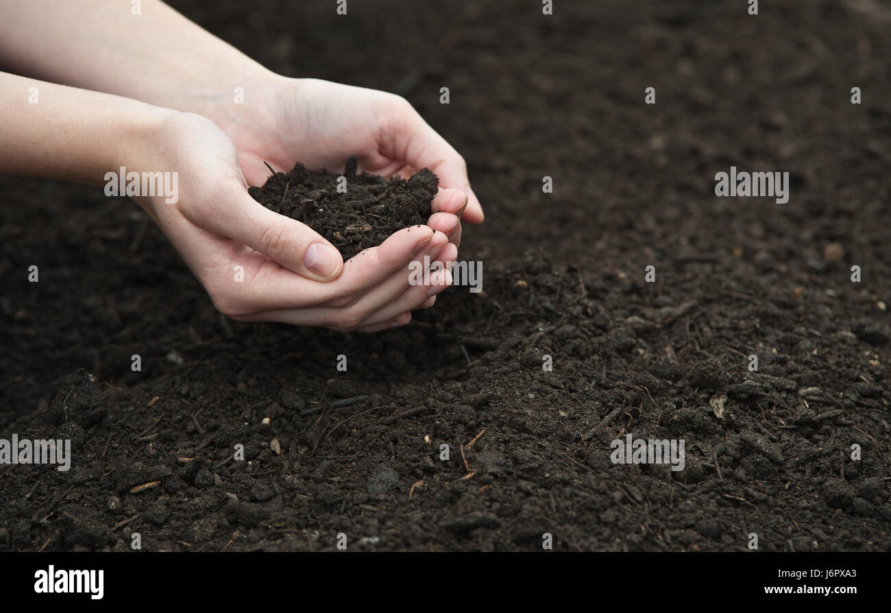 hand hands finger compost globe planet earth world decay topsoil heap ...