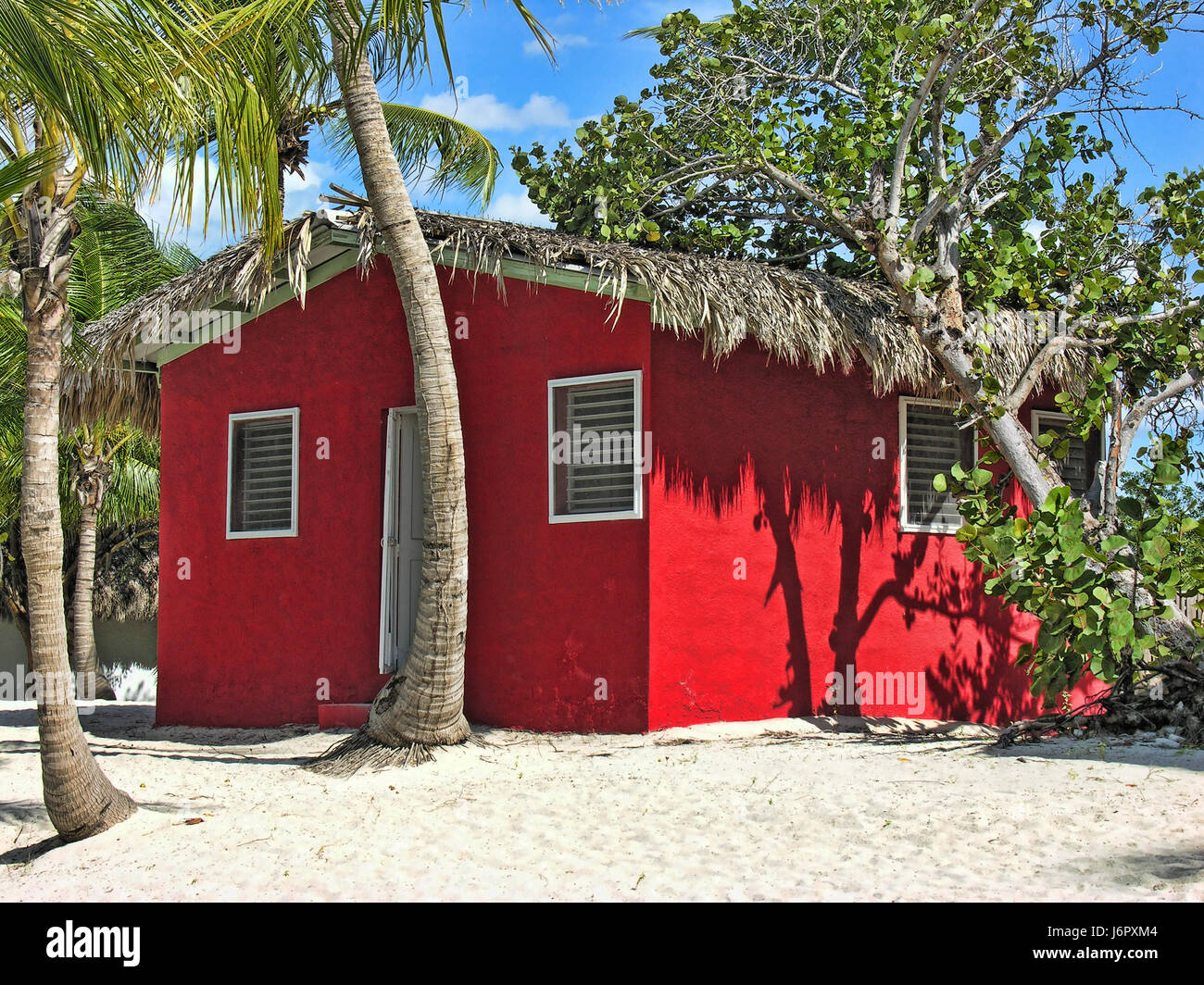 house building flower rose plant red blue house building leaf tree ...
