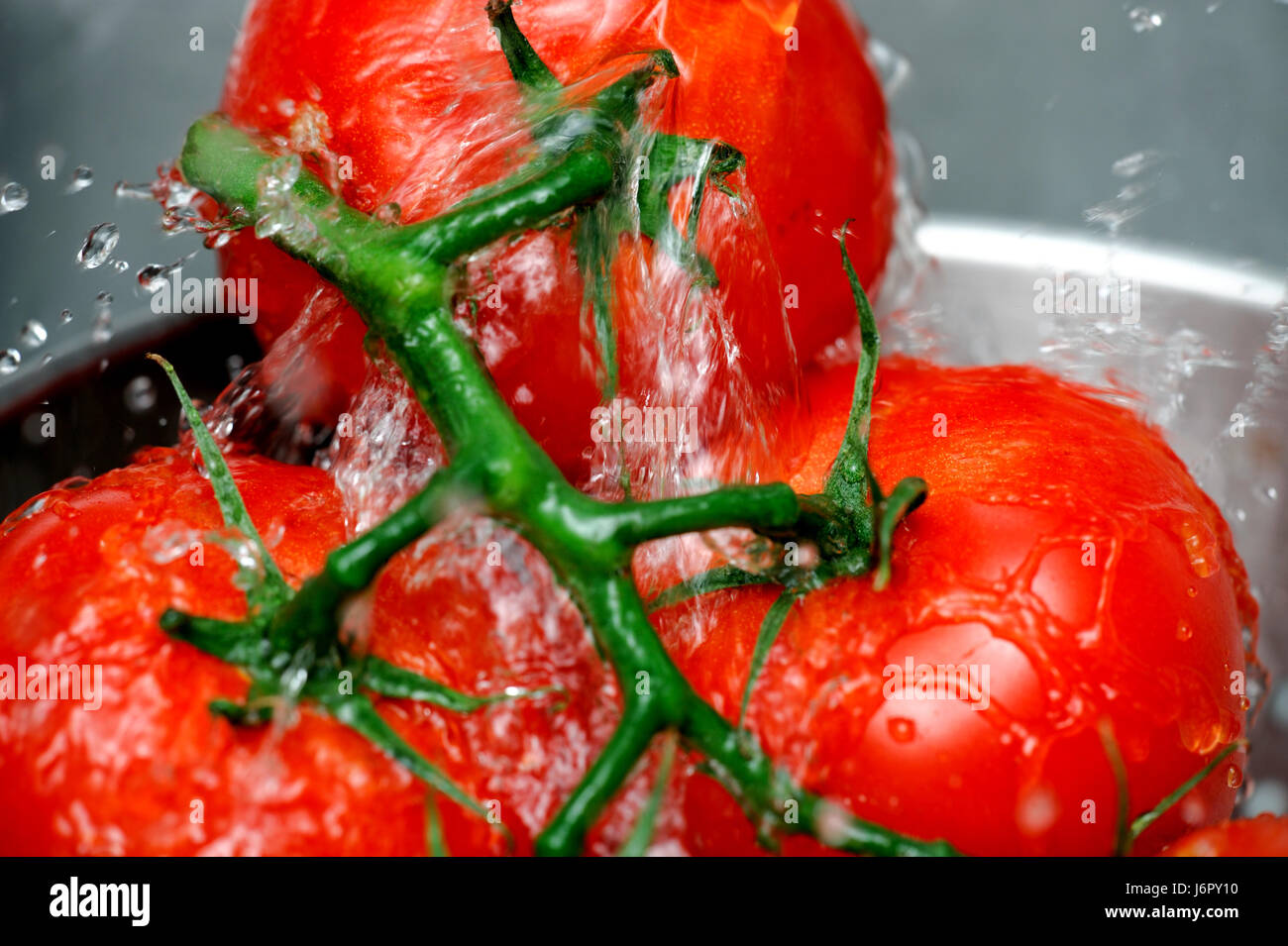 wash rinse wet vegetable washing clean tomato bunch rinsing ripe wash ...