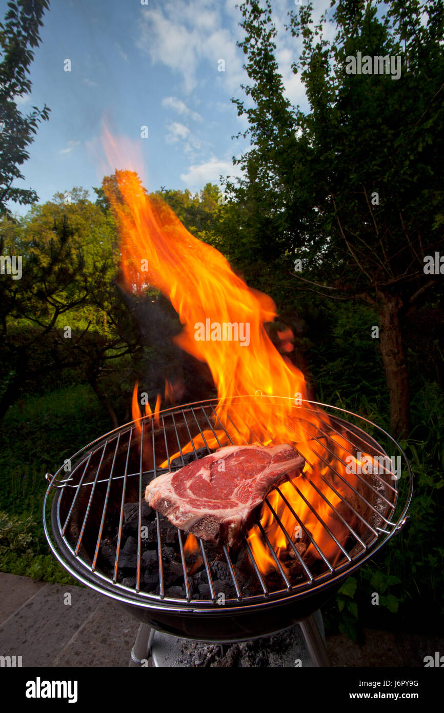 garden fire conflagration flame grill barbecue barbeque steak gardens ...