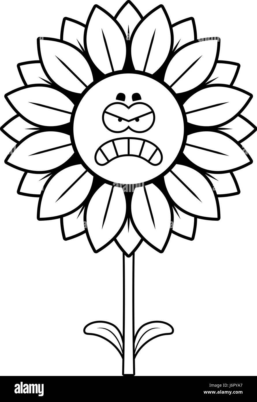 A cartoon illustration of a sunflower looking angry Stock Vector Image ...